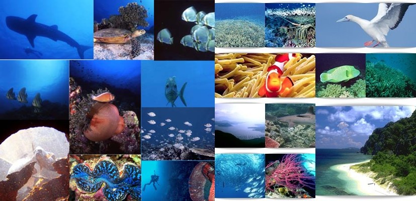 Go !! Go Travel !!: It’s More Fun in the Philippines