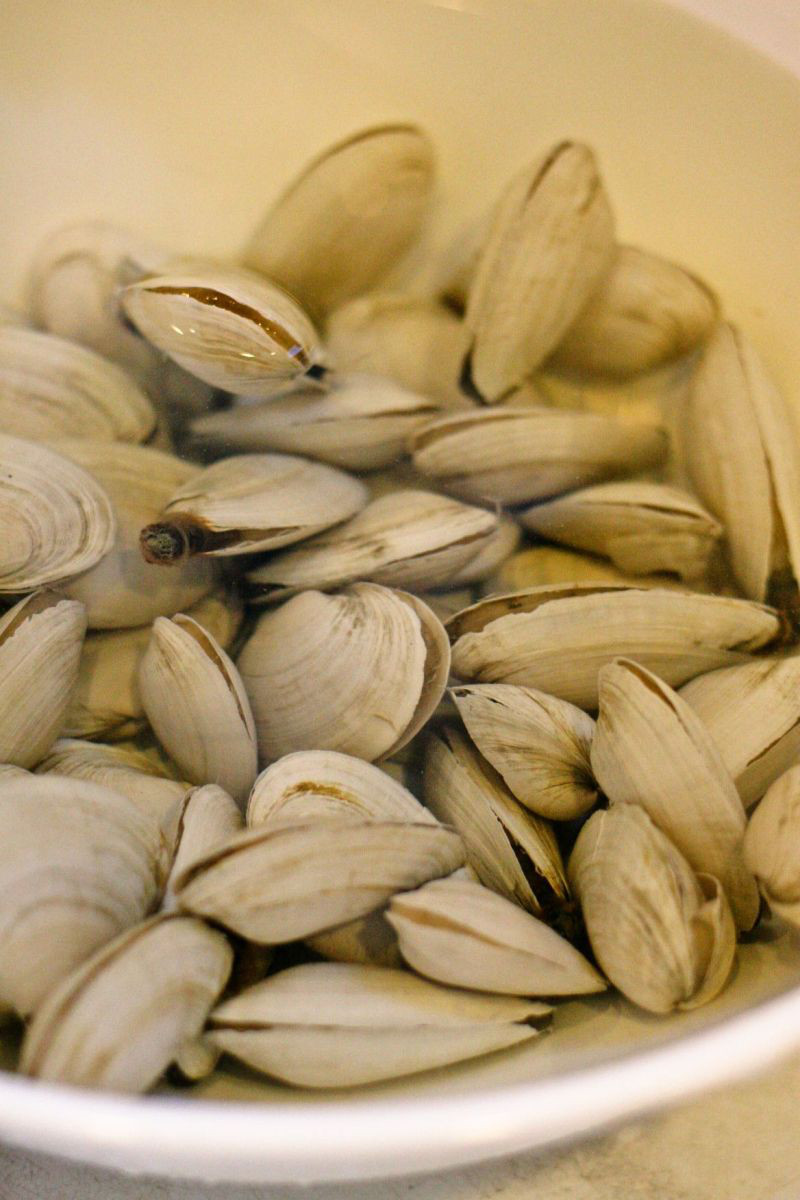 Perfectly imperfect : New England Steamers