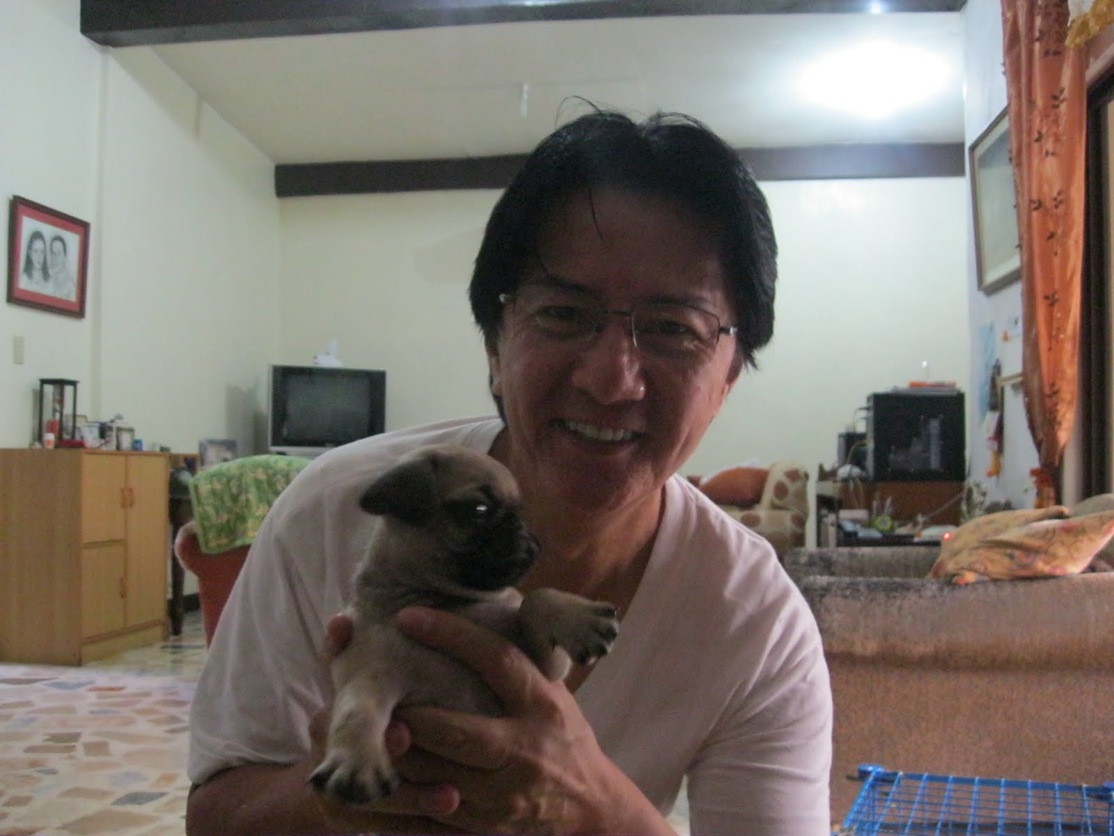 PETIZONE: PIPOY THE DYNAMO