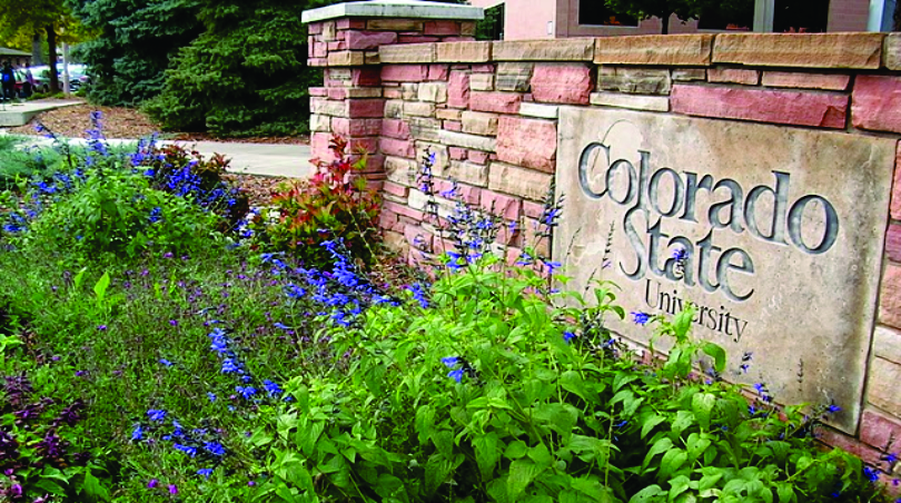 Colorado State University-Global Campus - Education and Information of ...