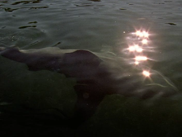 BliZZarraDas: Red Water (2003)