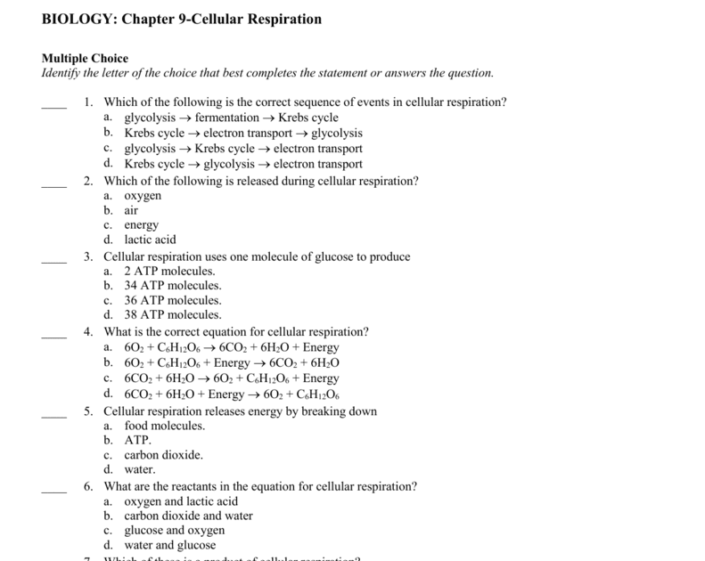 Chapter 9 Cellular Respiration - Collage Template