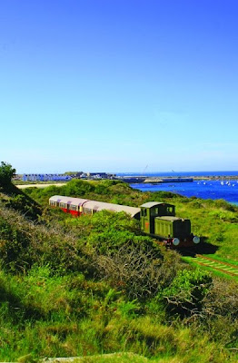 Phoebettmh Travel: (Channel Islands) –Alderney- Paradise for nature lovers