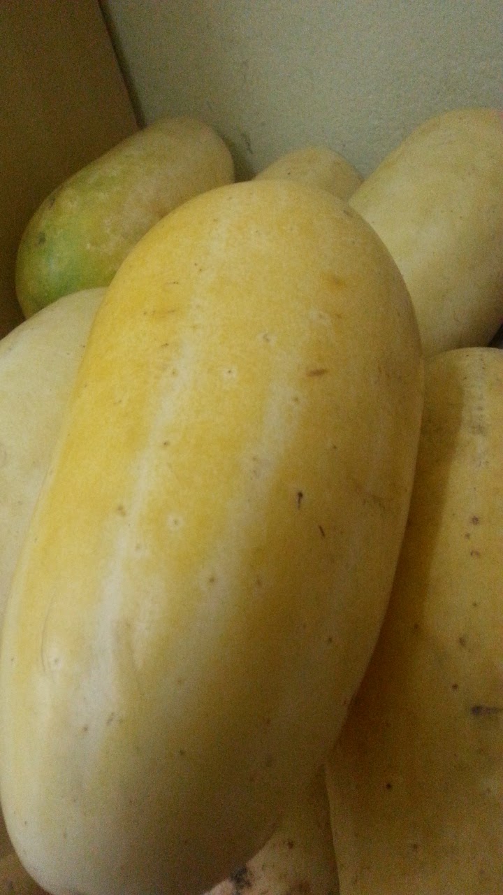 Hamparan Seni: Khasiat Timun Tua