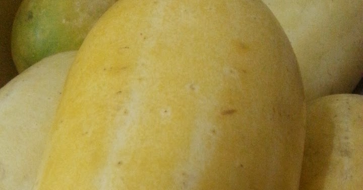 Hamparan Seni: Khasiat Timun Tua