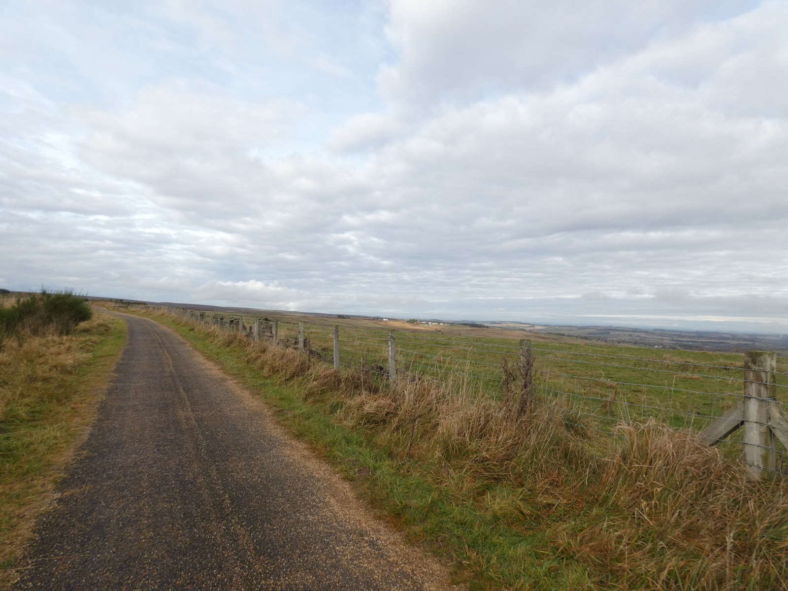 Boz North's Trail - Walking Blog: Waskerley Way - Hownsgill Farm to ...