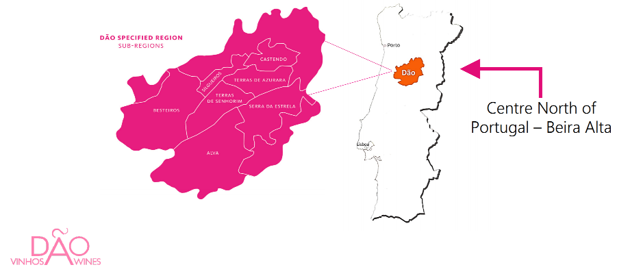 WineCompass: Dão Wines: The Hidden Gem of Portugal
