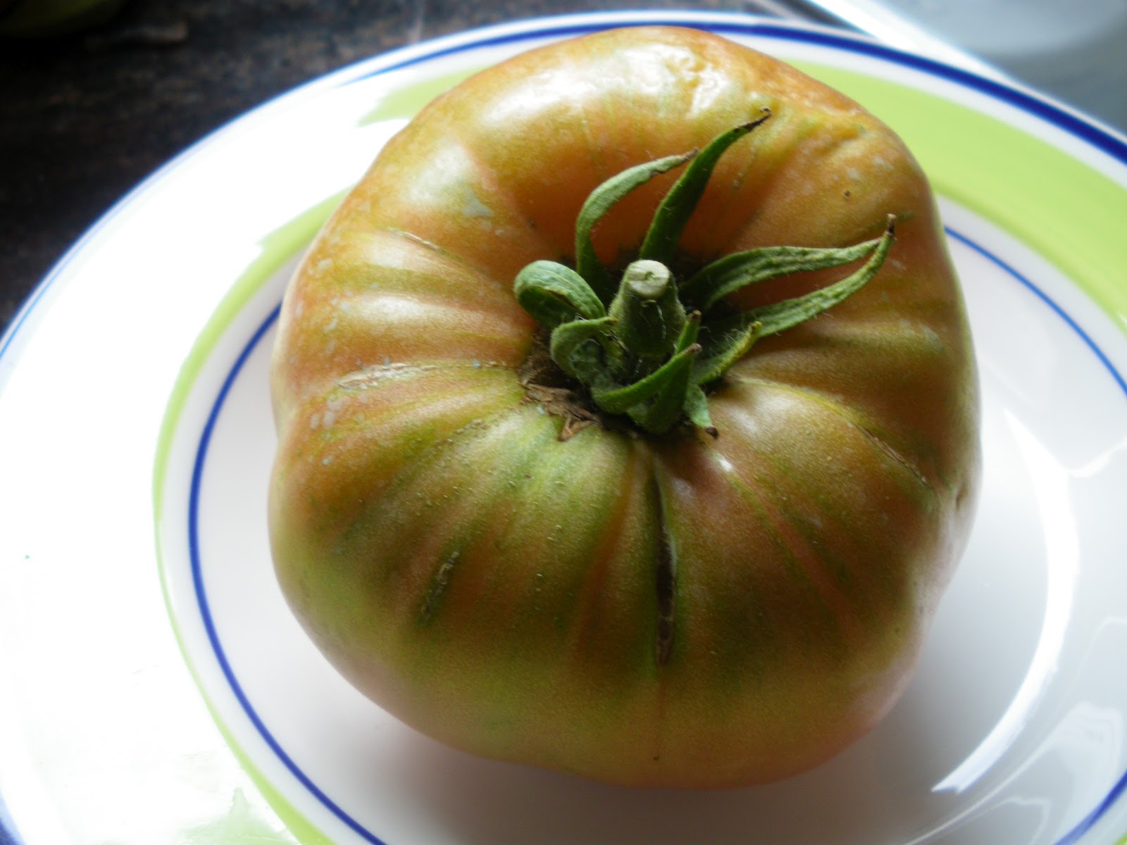 Huerto: Tomates 2012