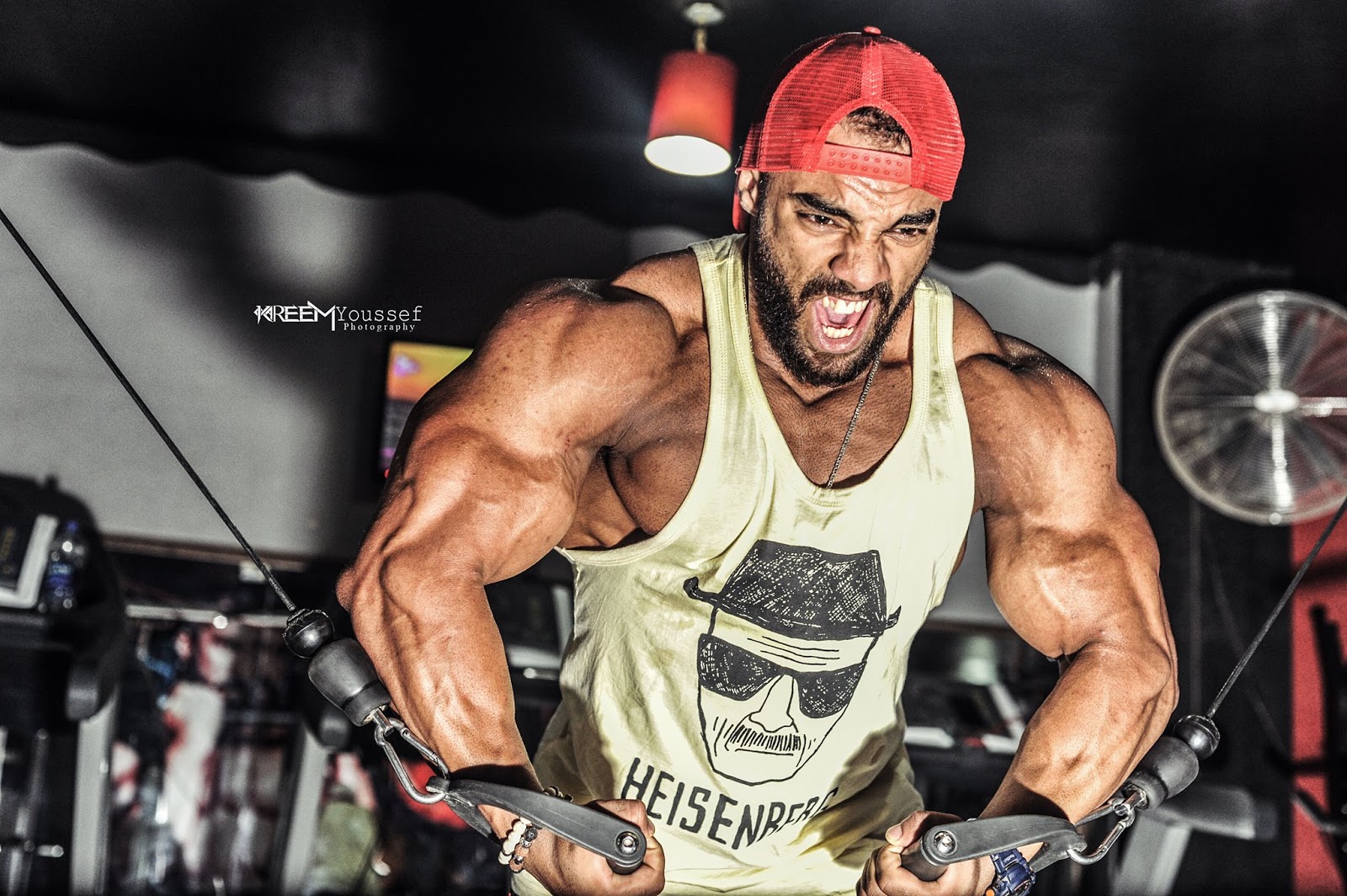 Muscle Lover: Egyptian IFBB Pro bodybuilder Mohamed Embaby