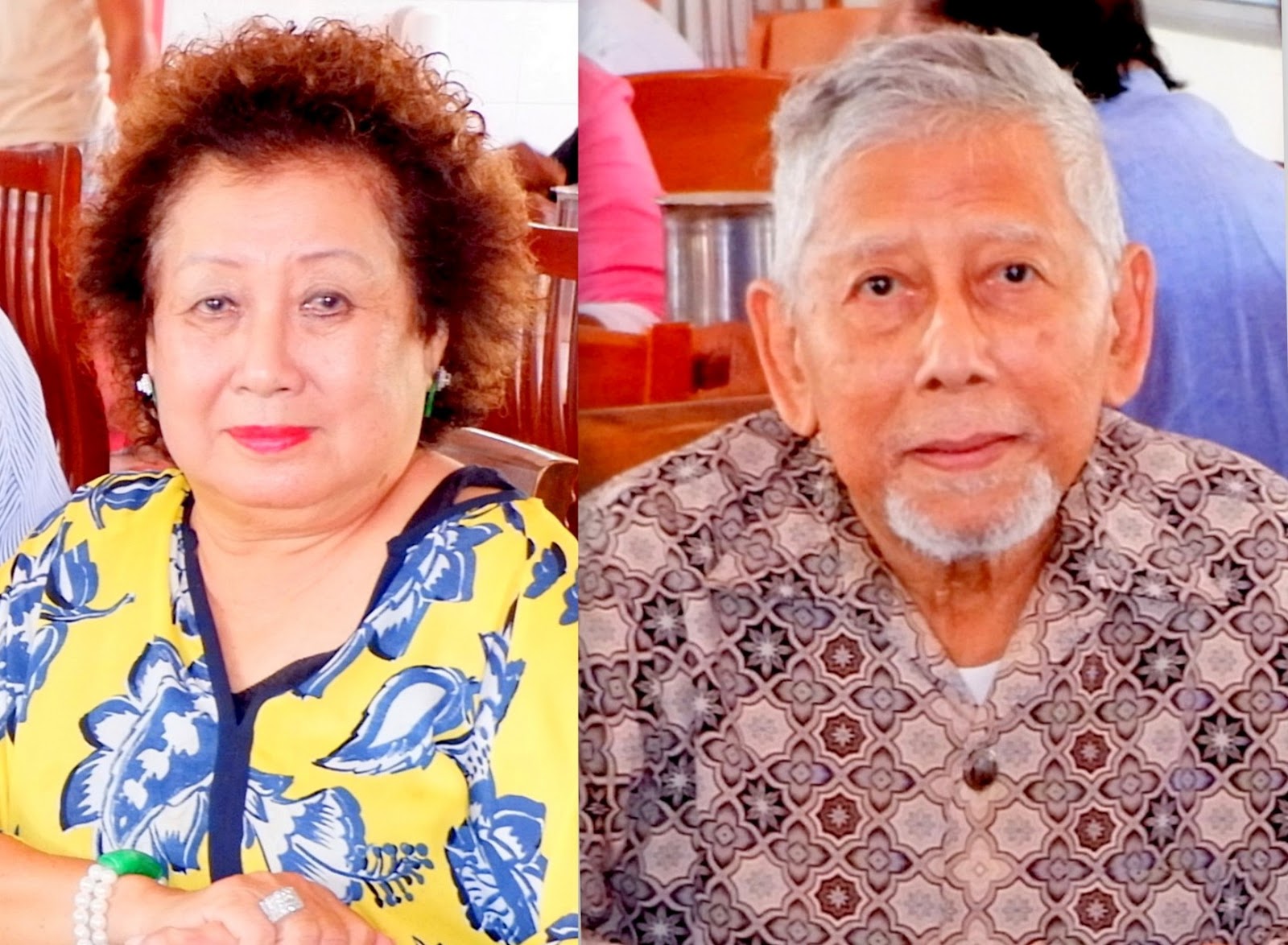 Ban Hoe Seng Sdn Bhd : Mimi And Her Self-Made Man Tan Sri Dato Hanafiah ...