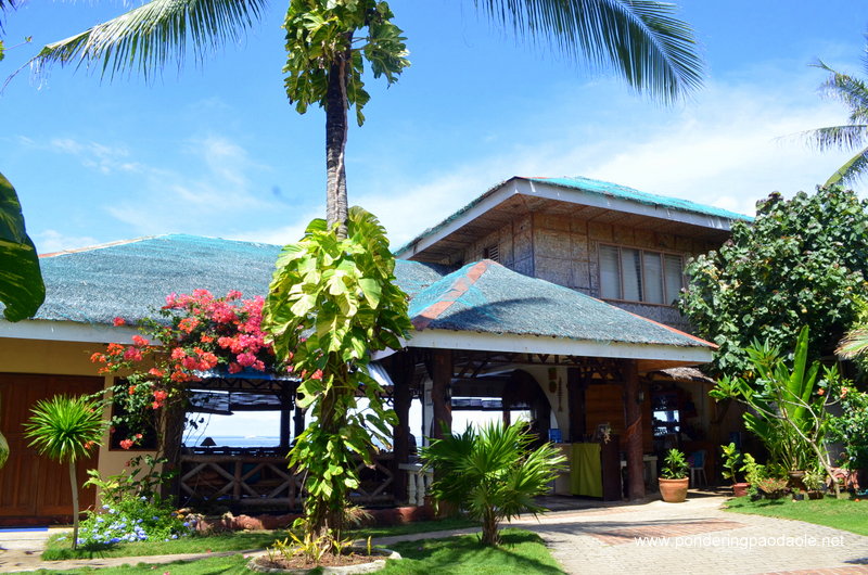 Where to Stay in Siquijor: Blue Wave Inn – The Mermaid Travels