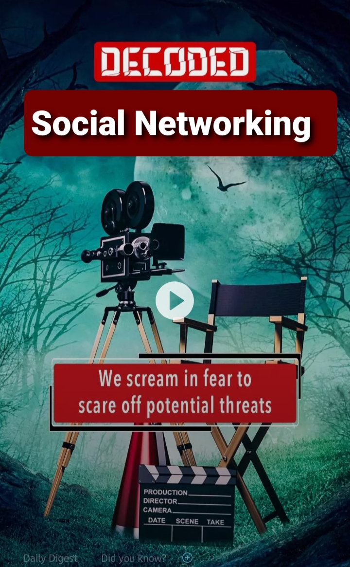 SOCIAL NETWORKING Meanit SOCIAL NETWORKING Meanit