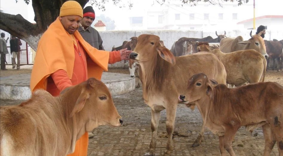 COW & Yogi Ji : गोमाता और योगीजी