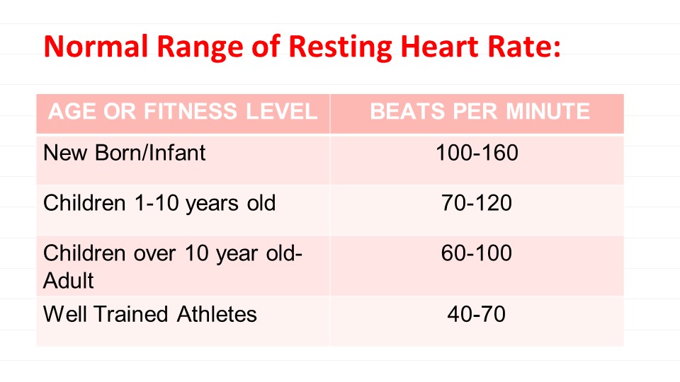 MAPEH Homepage: Resting Heart Rate | Body Mass Index | Waist to Hip ...