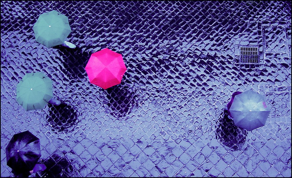 Thoughts : Anatomy of the Mind: .: Project Umbrella