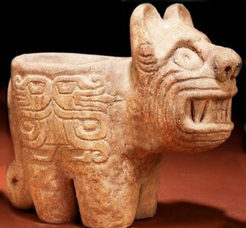 HISTORIAS ZOOLOGICAS: LOS SENDEROS DEL PUMA (Puma concolor) - EPISODIO 2