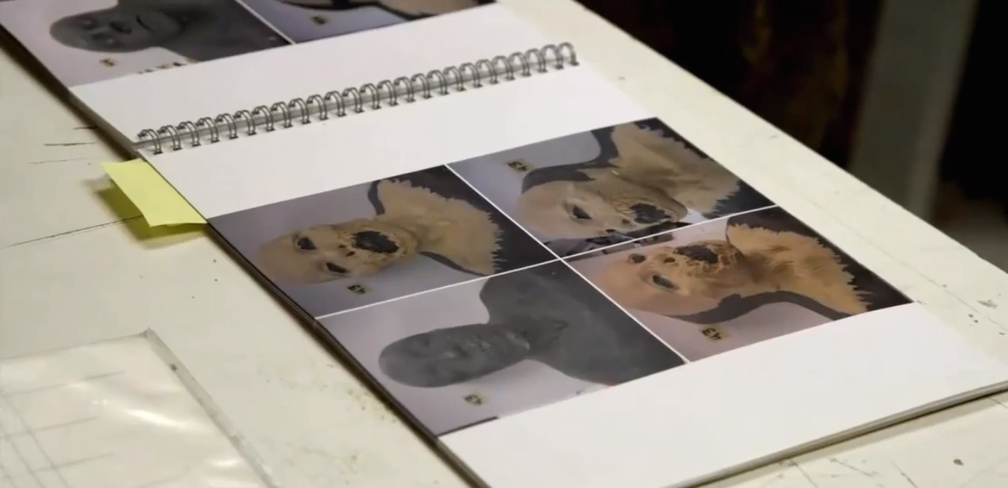 AnatomyTools.com: 'Where's Waldo?' - The Walking Dead (KNB EFX Group)