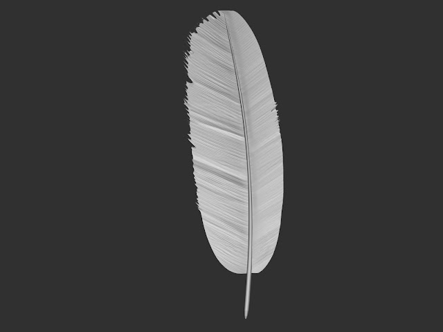 Darya Girina Zbrush Endless Way: Modelling bird feather and wings ...