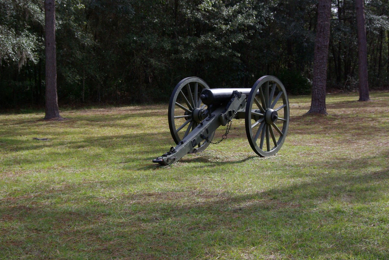 Robbin Neff Photography