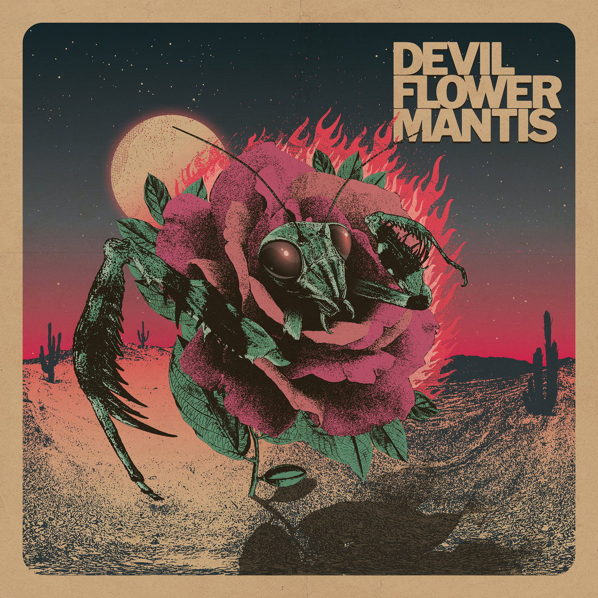 DESERT PSYCHLIST: DEVIL FLOWER MANTIS ~ DEVIL FLOWER MANTIS ..... review