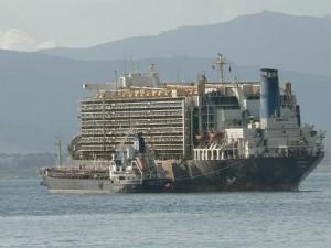 NAVAL ARCHITECTURE KNOWLEDGE: Livestock Carrier Ships