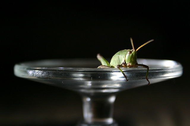 What do You Have to do to Get a Drink Around Here? | The Ark In Space