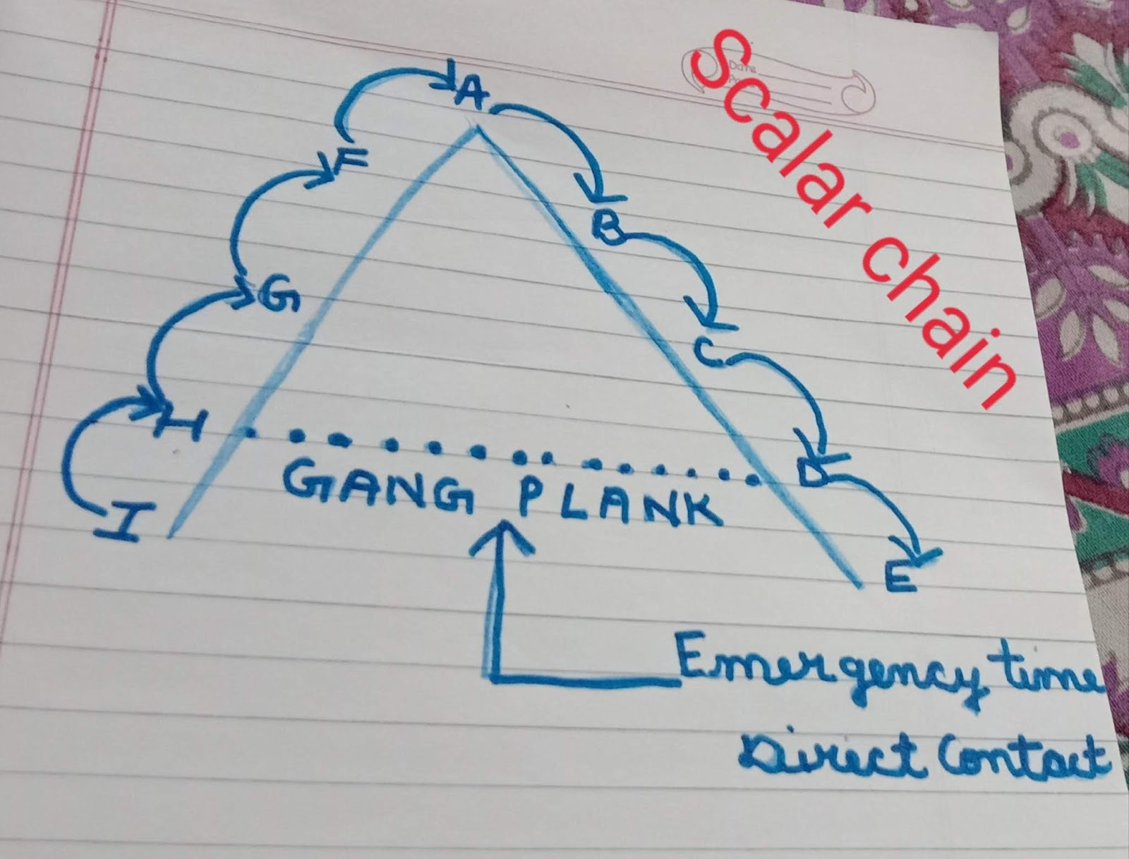 Principles of Management