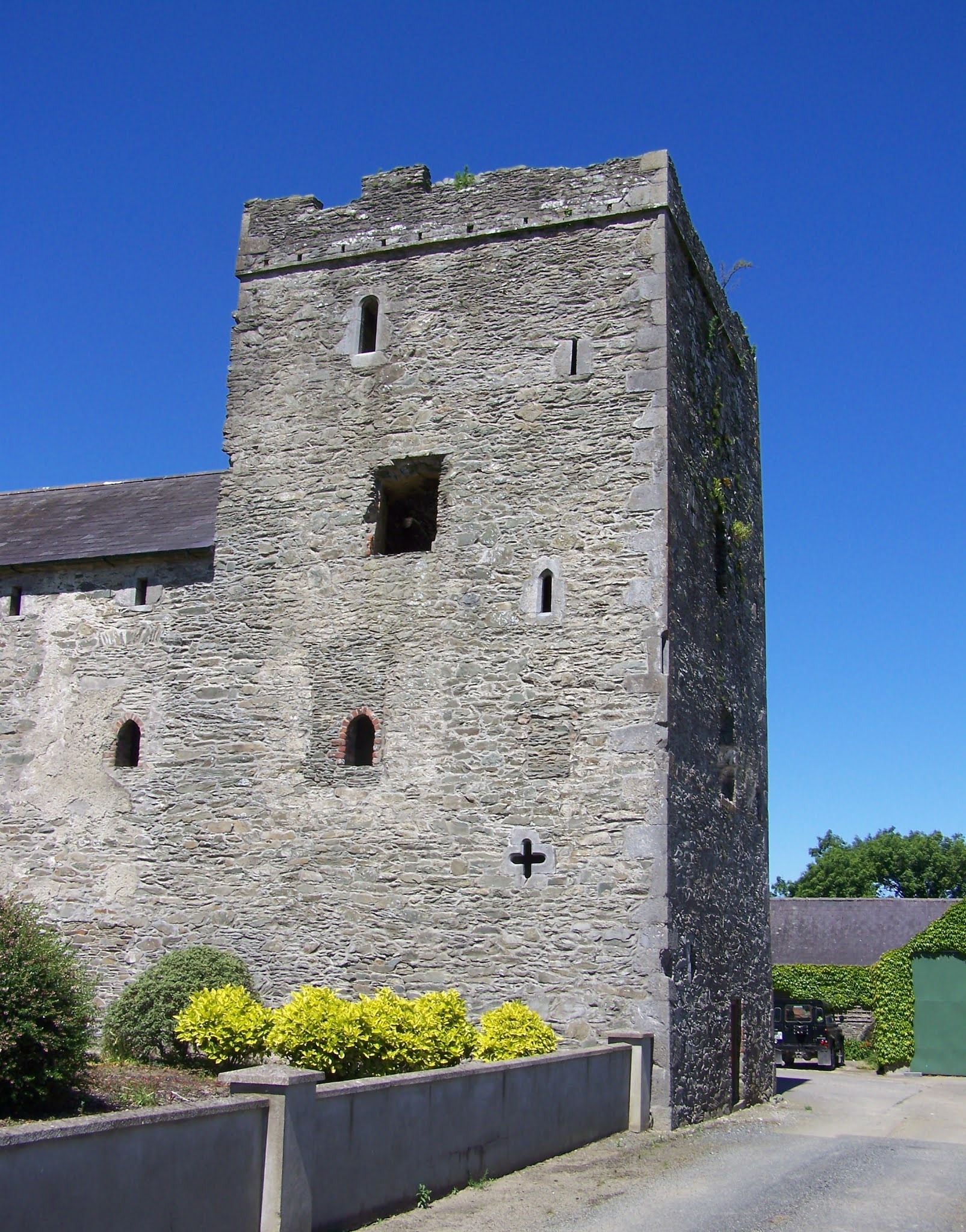 Irish Heraldry: Where in the County (11) Castles
