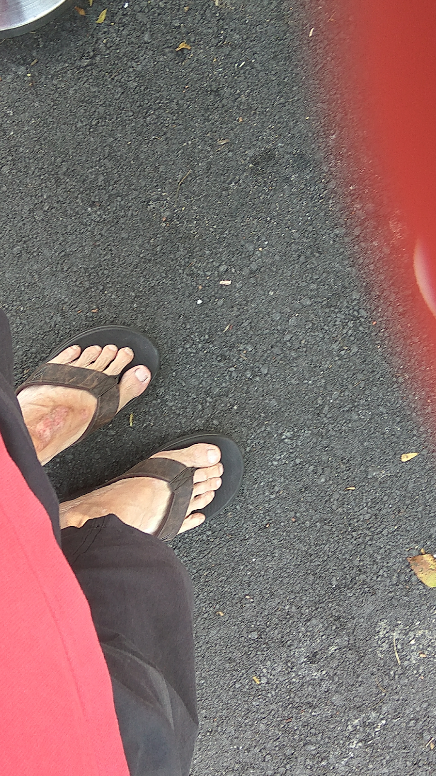 Create Wealth Through Long-Term Investing and Short-Term Trading: Close ...