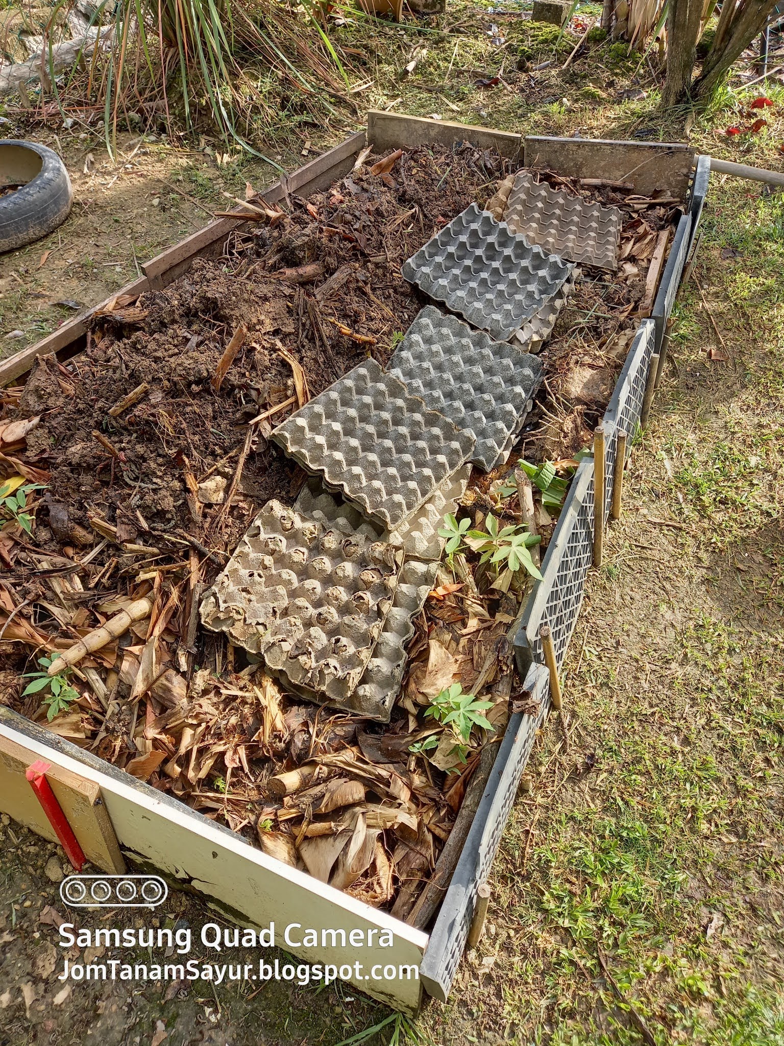 Jom Tanam Sayur ( JTS ) : Batas Timbun Sebagai Komposter | Garden ...