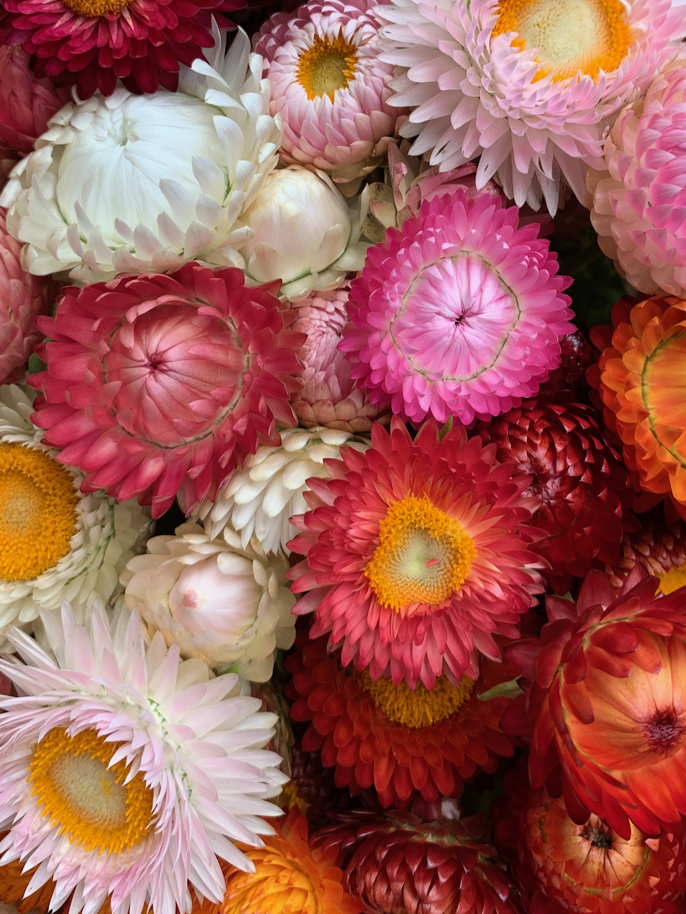 Flowery Quilty Catch Up