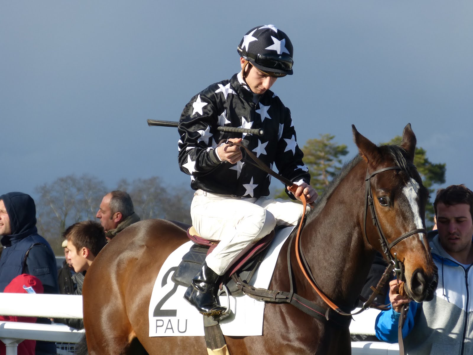 Histoires de Voir: 126ème Grand Prix Hippique de Pau (20 janvier 2013)