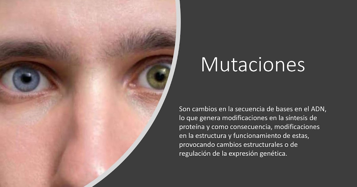 Segundo Nivel Enseñanza Media (3°-4° Medio): Mutaciones