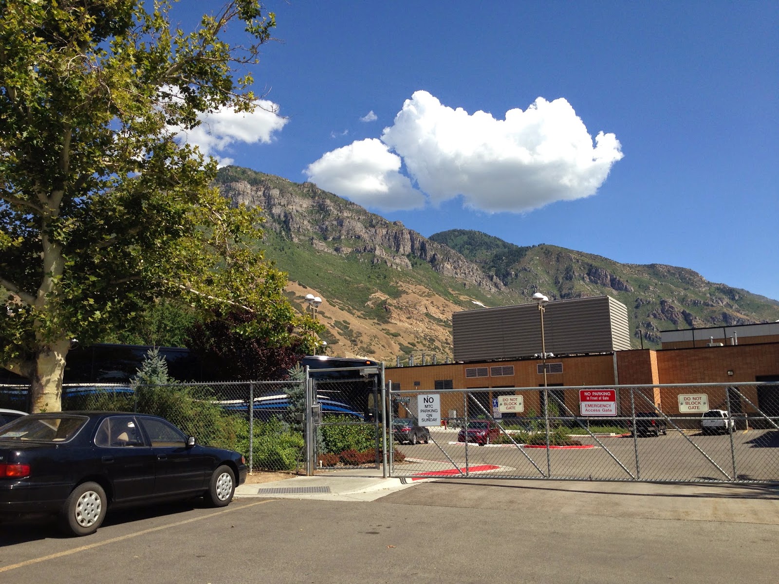 The Wheatley Buzz: Missionary Training Center, Provo UT August 11-15 2014