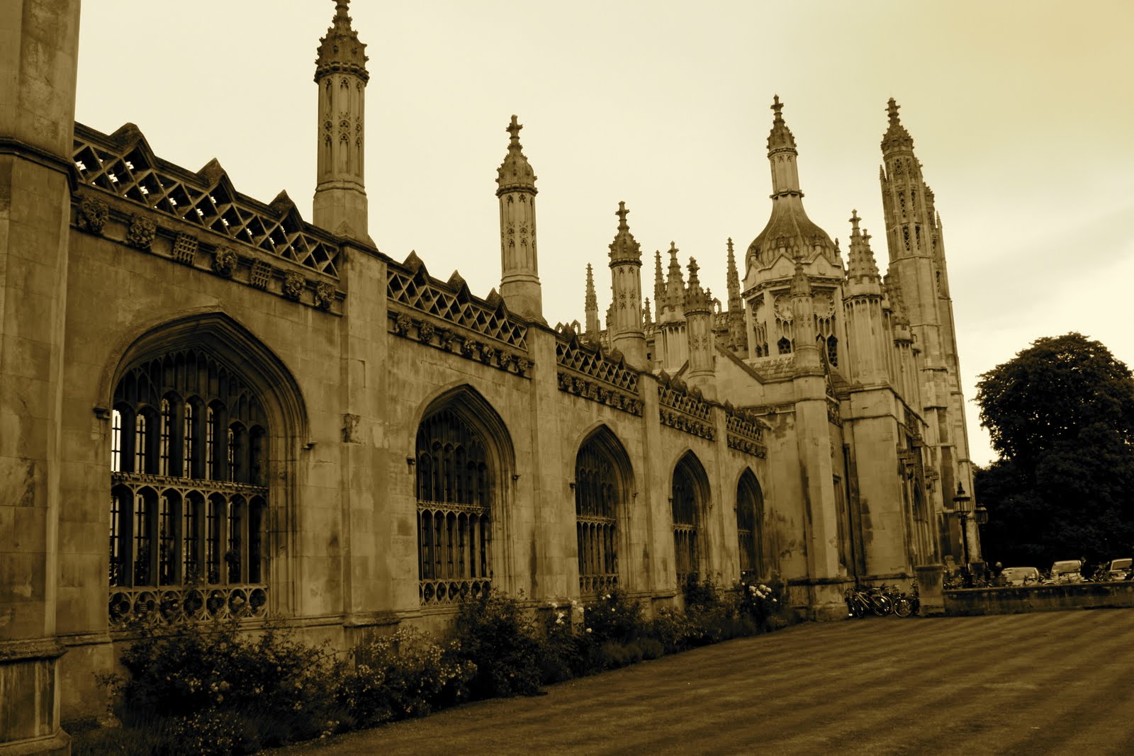 Emily Snell's Photography