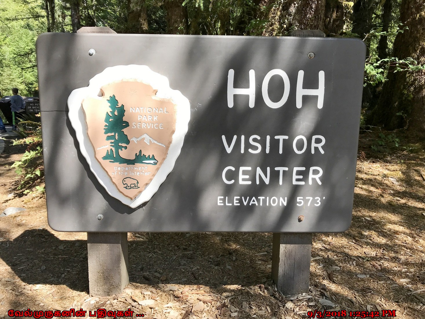 Hoh Rain Forest Olympic Peninsula - Exploring My Life