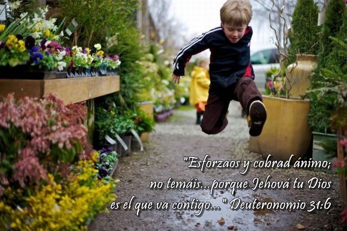 REFLEXION DIARIA: ANIMO