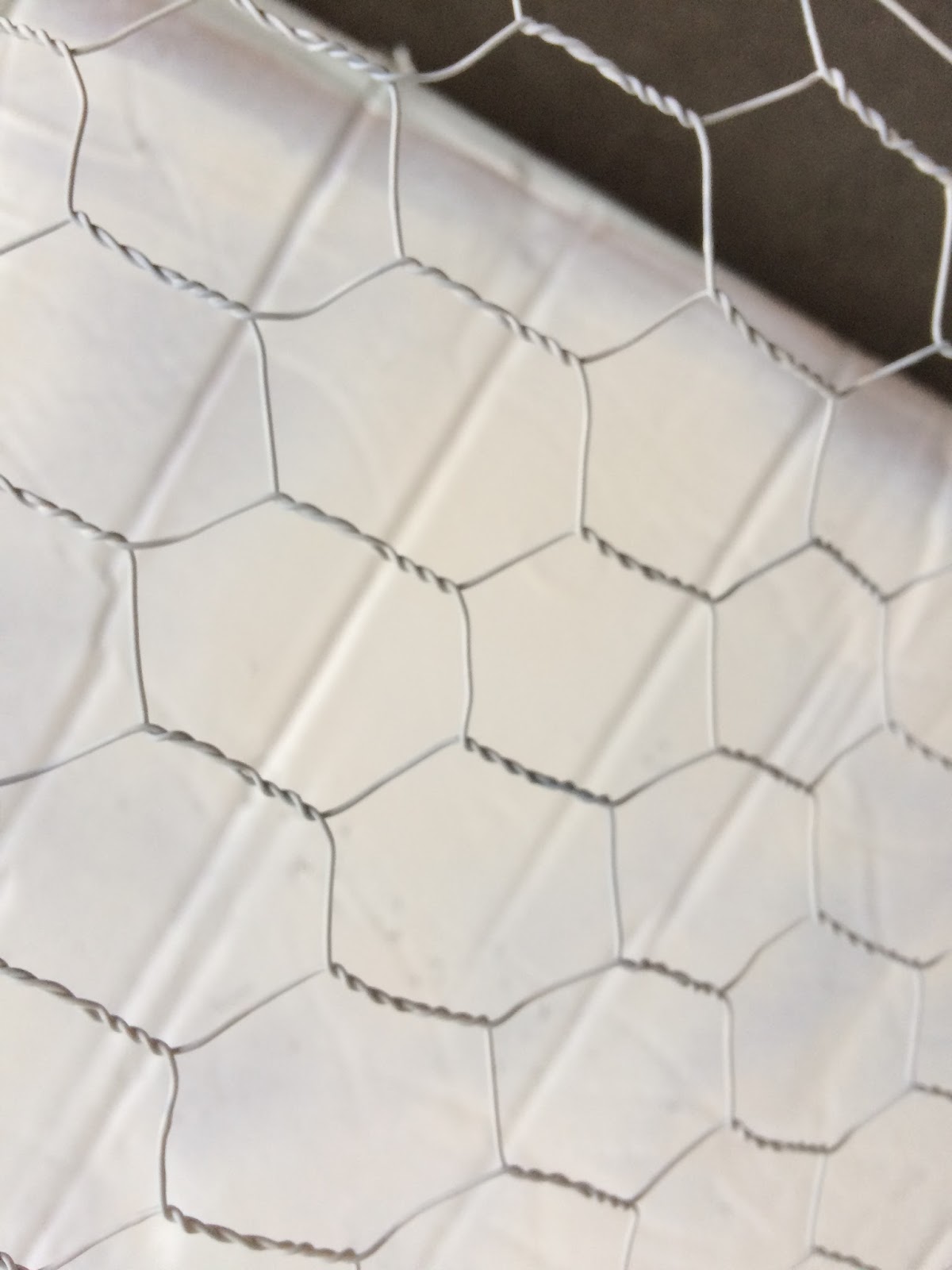 Easy and Cheap DIY Chicken Wire Frames