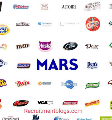 2021 Mars Leadership Experience Program (Manufacturing)