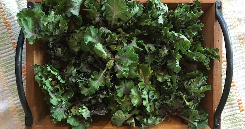 Good Stuff NW: A New Vegetable on the Block: Kalettes