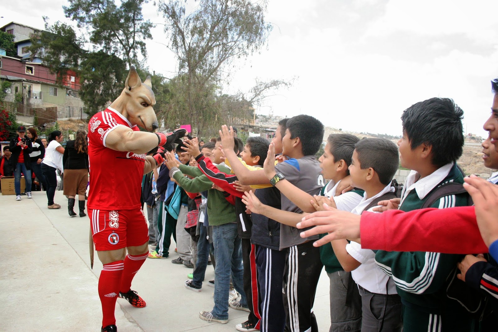 NOTILIBRE TIJUANA, por la libertad de informar.: LIDER SOCIAL ARACELY ...