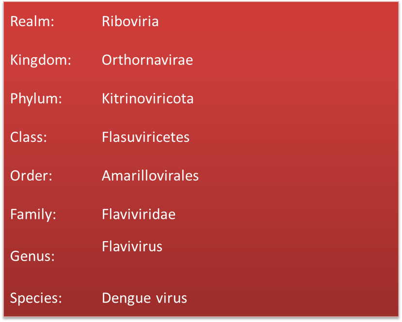 INTRODUCTION TO DENGUE FEVER - SDL