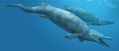 Basilosaurus | The Life of Animals