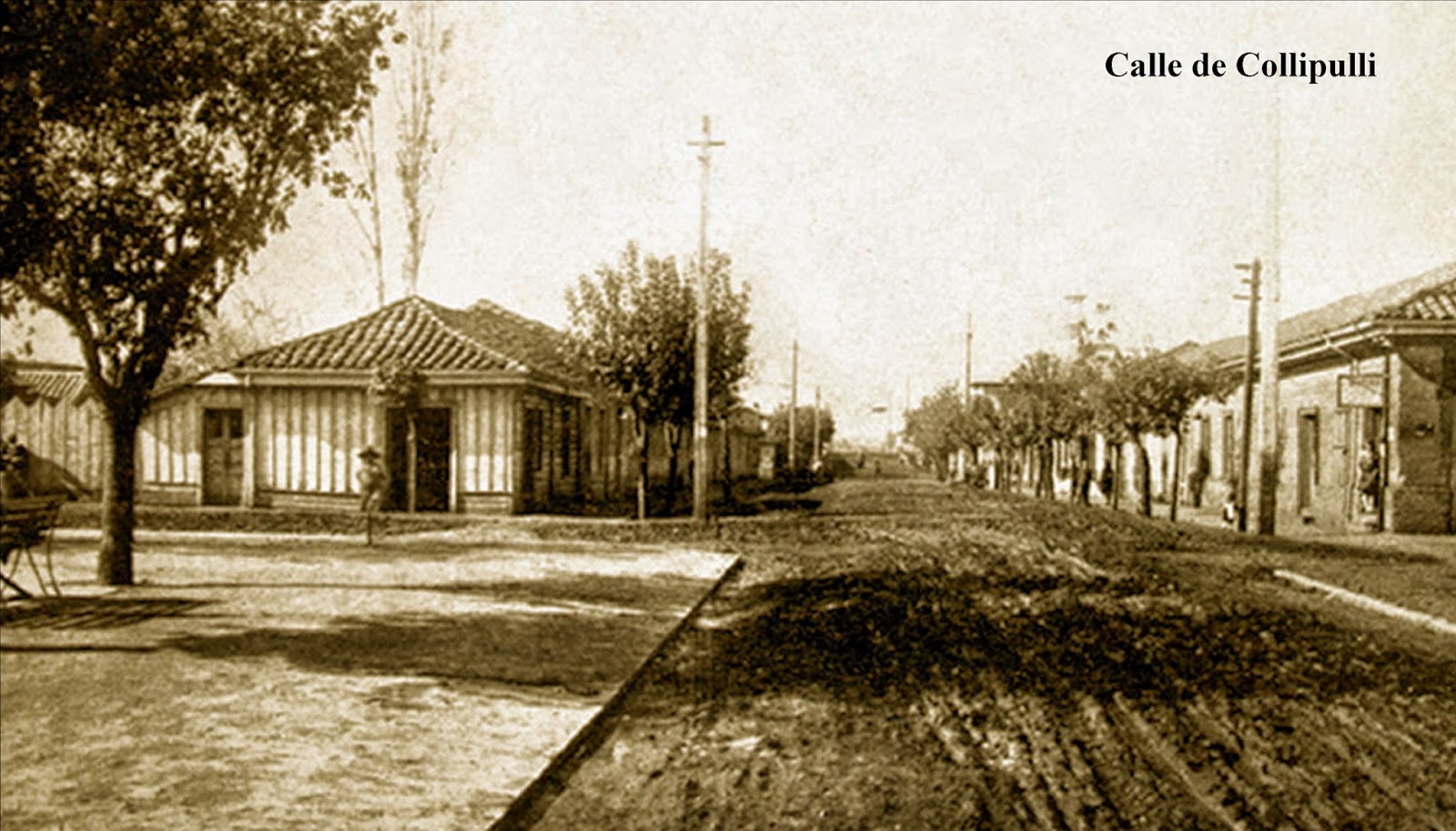 Imágenes de Chile del 1900: Angol, Collipulli, Los Sauces, Purén y Ercilla