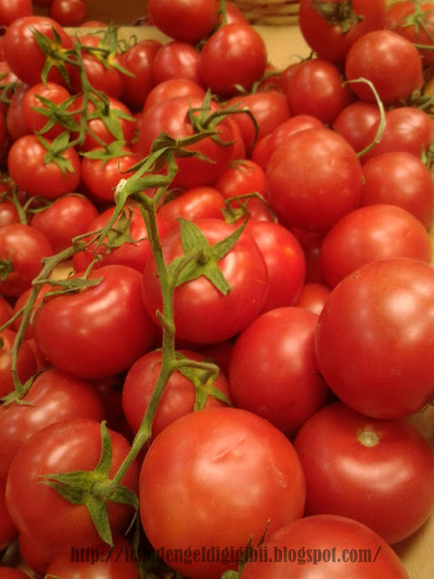 dantel ortuler: Domates Resimleri