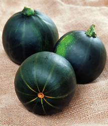 Two Men and a Little Farm: EIGHT BALL SQUASH