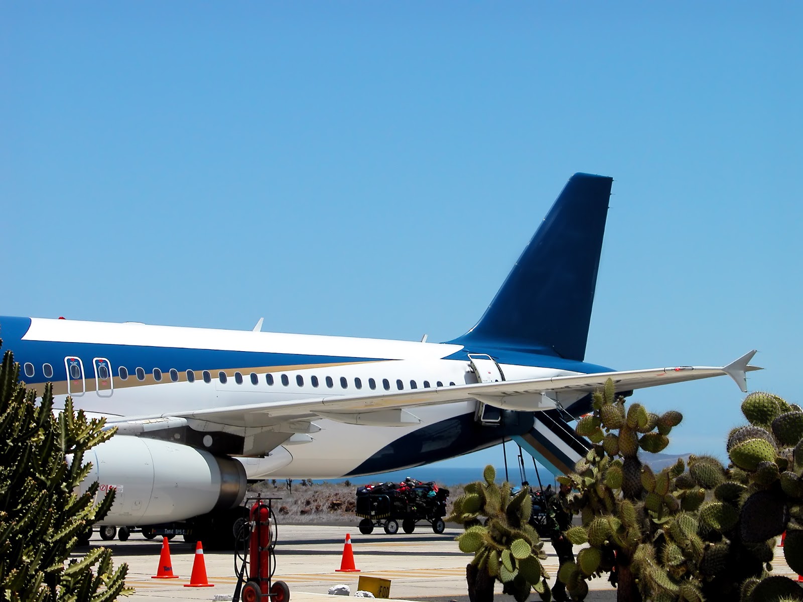 The Book Boost Blog: Believe it or Not with Guest Blogger: Dina Rae