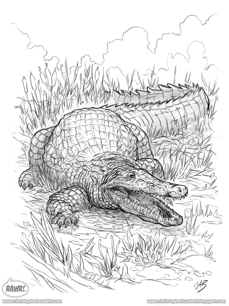 The DOODLES, DESIGNS, and aRT of CHRISTOPHER BURDETT: Fresh from the ...