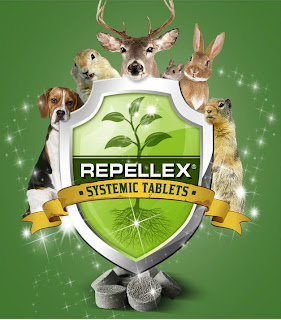 Blog of an Ancient Gardener: Deer Country: New Systemic Repellent Tablet