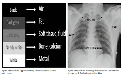Radiology | An Introduction